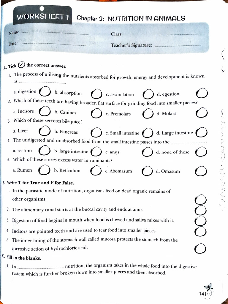 Science Class 7 Ls-2 Worksheet | PDF | Digestion | Gastrointestinal Tract