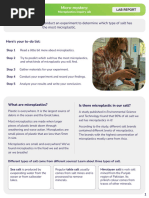 Dye and Pry Procedure | PDF | Industrial Processes | Chemistry