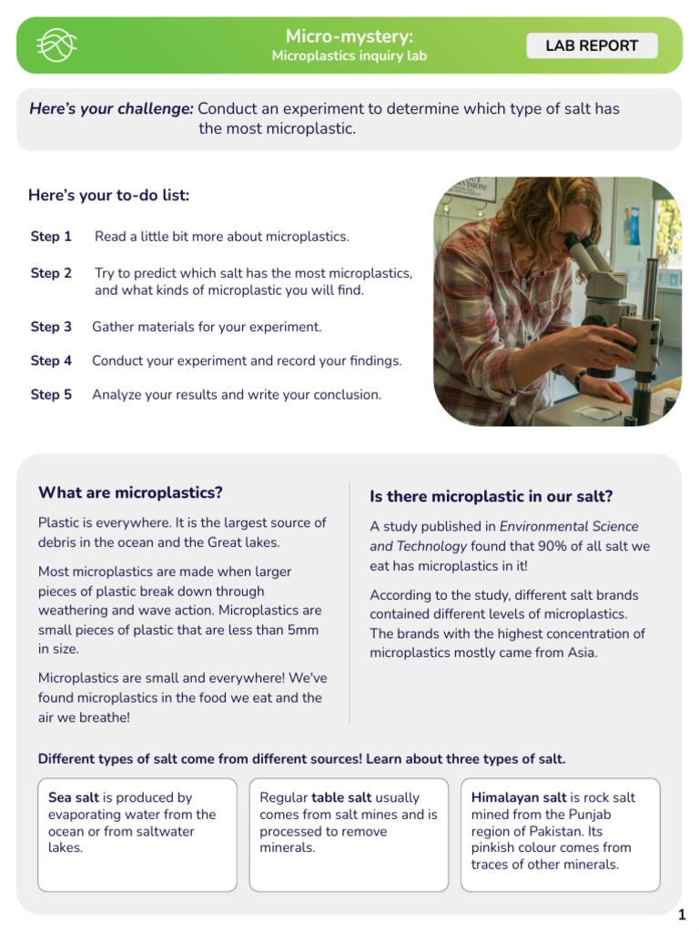 Microplastics in Salt: Inquiry Lab Report | PDF | Salt | Sea