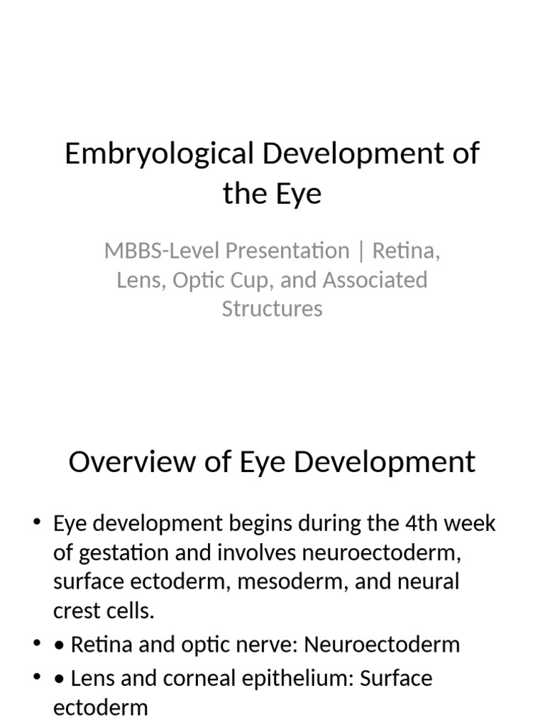 Eye Embryology: Development Stages & Structures | PDF