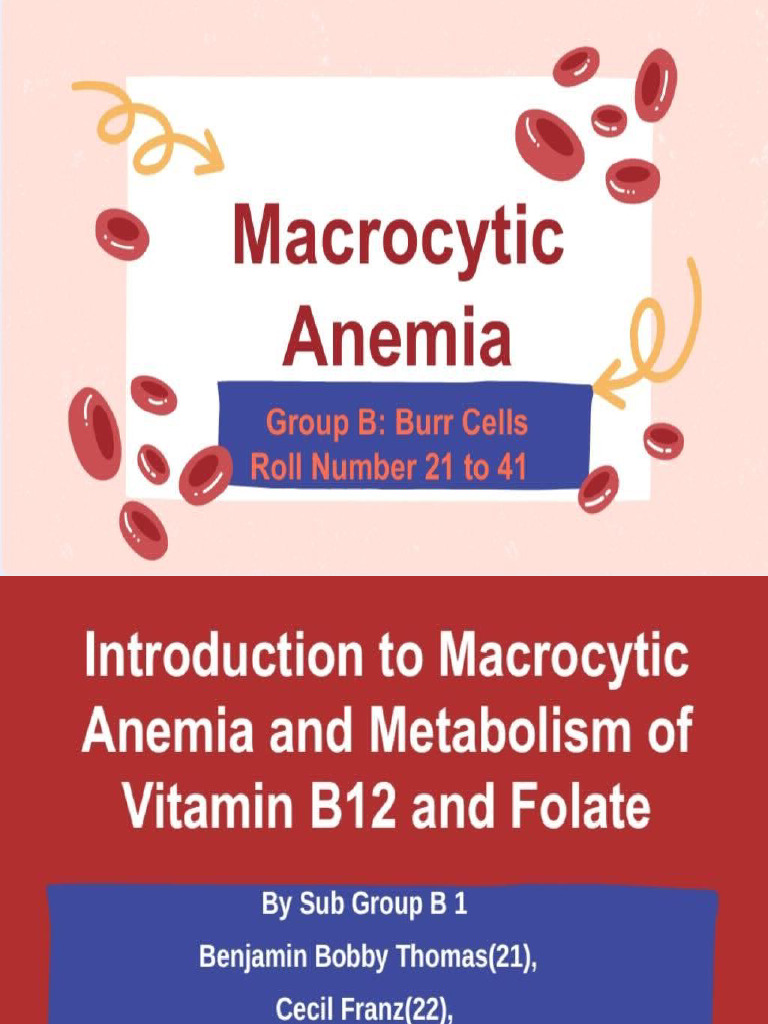 Macrocytic Anemia Slides | PDF | Anemia | Blood