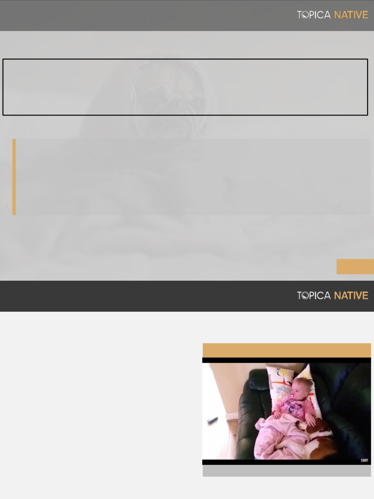 10.07 .2018 LS Inter Dogs As Pets Thaovtp3 | PDF | Dogs