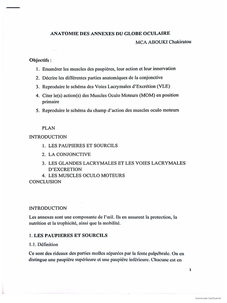 Anatomie Des Annexes Du Globe Oculaire | PDF