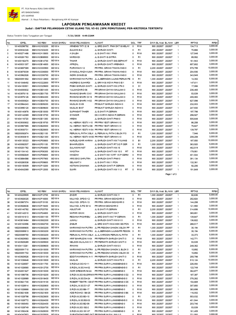 Garuda Sakti Customer Credit Report | PDF
