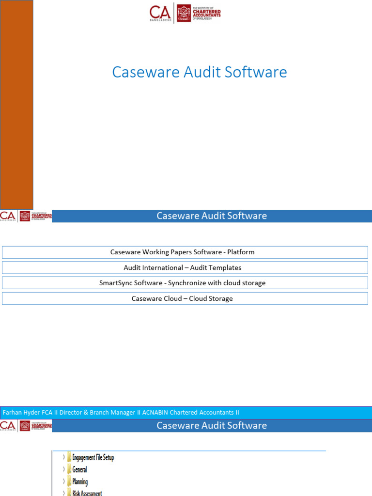 Caseware Audit Software Overview | PDF | Accounting | Service Industries