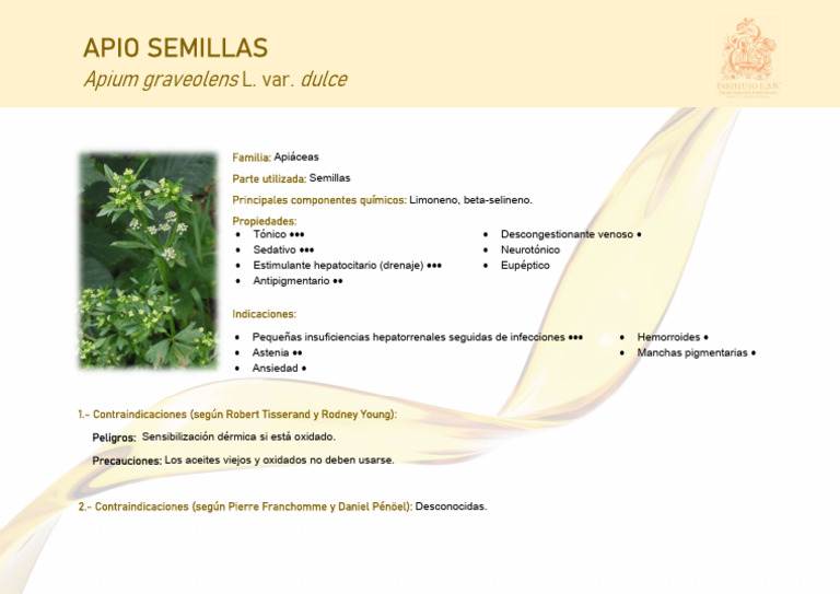 Apio Semillas (Apium Graveolens L. Var. Dulce) | PDF