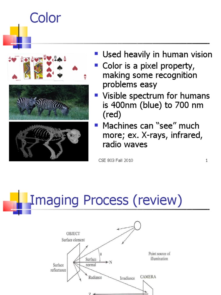 Color: CSE 803 Fall 2010 1 | PDF | Rgb Color Model | Color