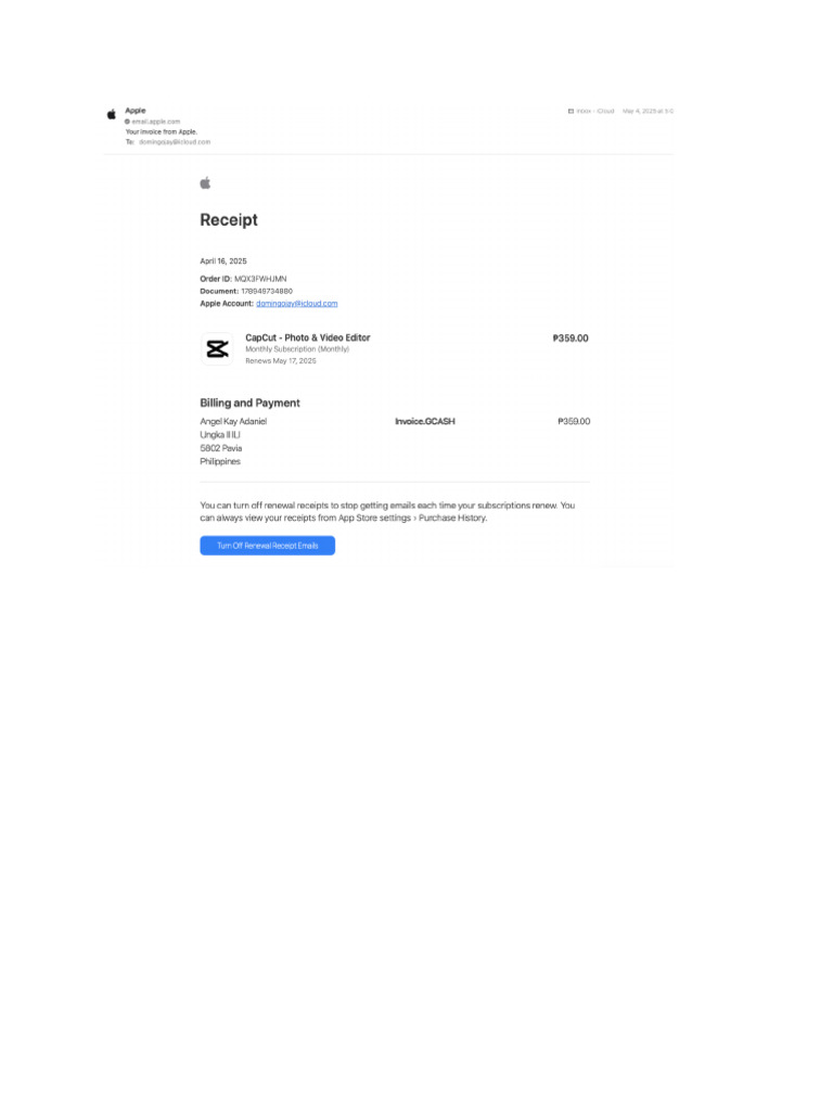 Capcut Receipt | PDF