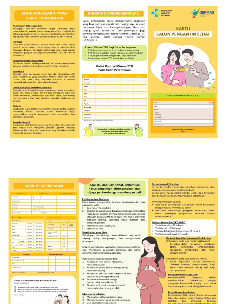 Leaflet KIE Catin | PDF