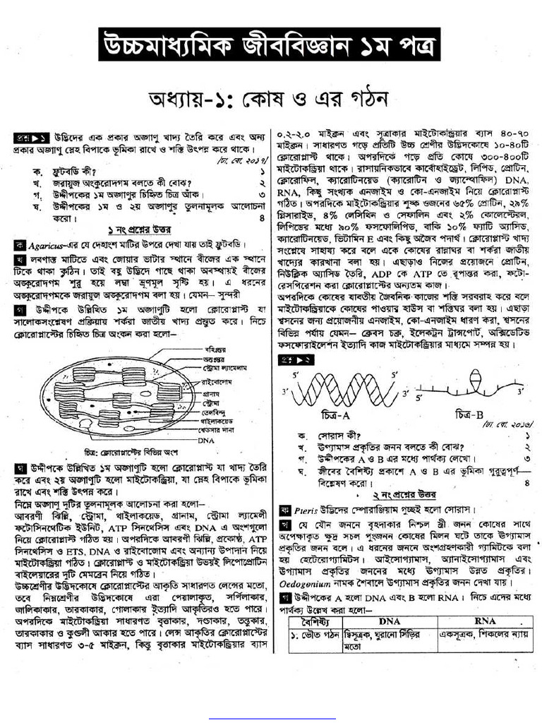 HSC Biology 1st Paper Chapter 1 Notes | PDF | Life Sciences | Biology
