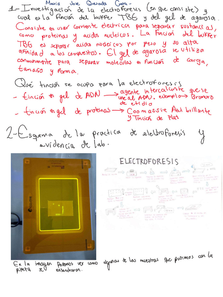 Práctica Lab Evidenc | PDF