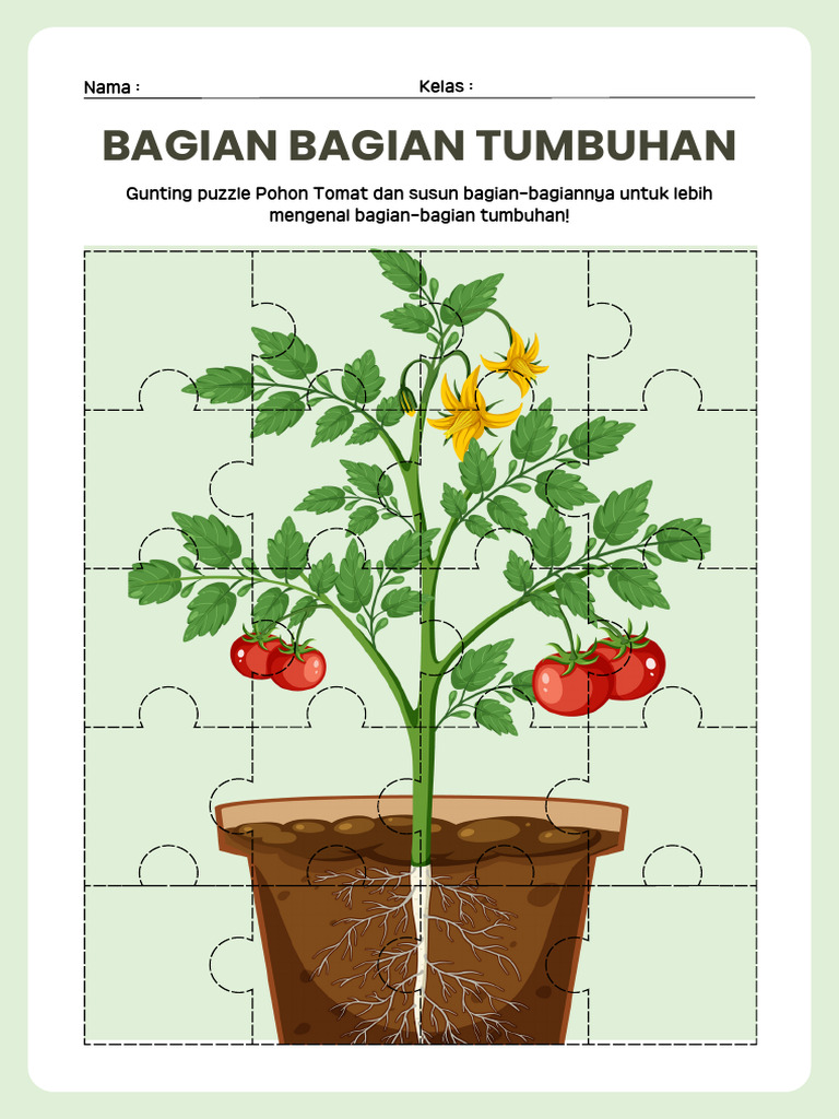Puzzle Mengenal Bagian Tumbuhan | PDF