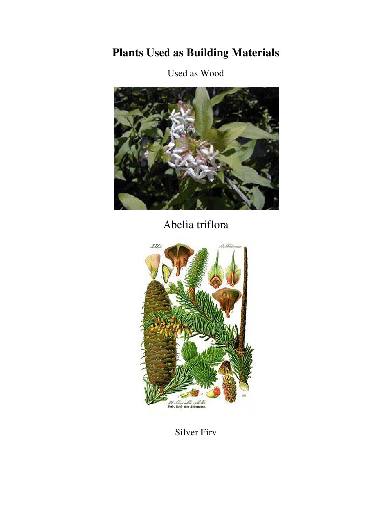 Plants Used As Building Materials | PDF