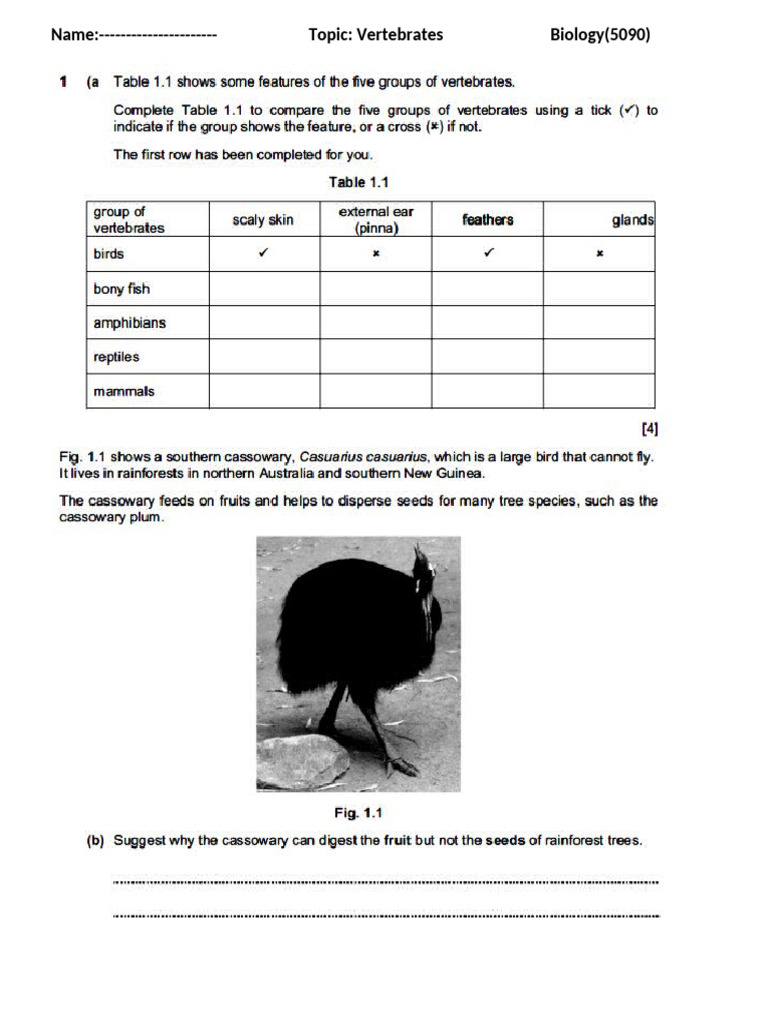 Vertebrate Work Sheet PDF | PDF