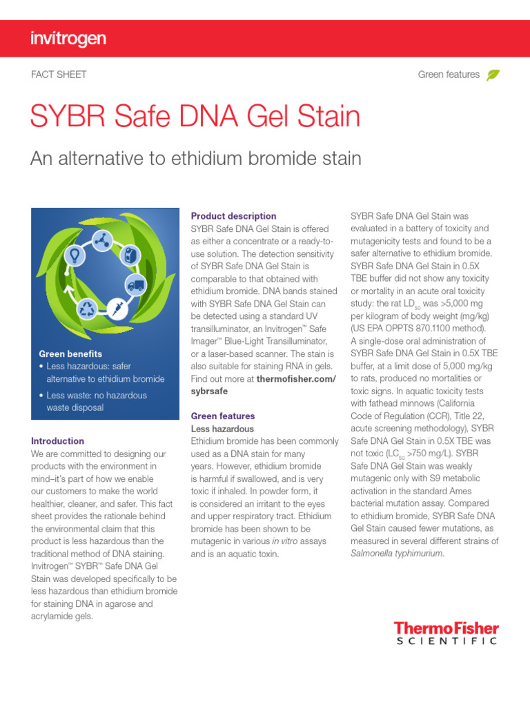 SYBR Safe DNA Gel Stain - Green Fact Sheet | PDF | Agarose Gel ...