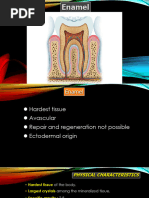 How To Rent Guide 2021 | PDF | Landlord | Leasehold Estate