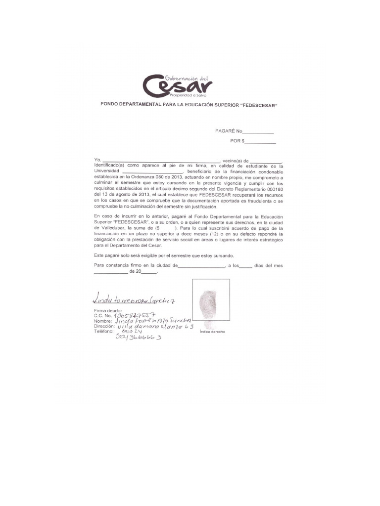 Scaner Credito 2021-2 | PDF