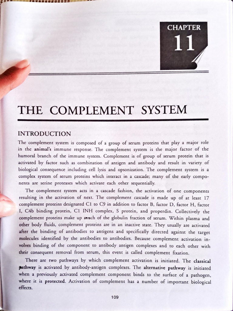 Complement Proteins 2.0 | PDF
