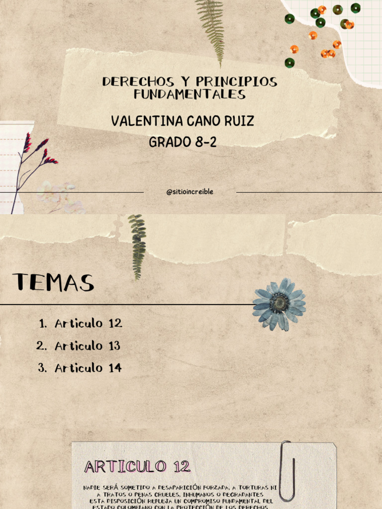 Presentacion Articulo 12,13,14 Valentina Cano | PDF