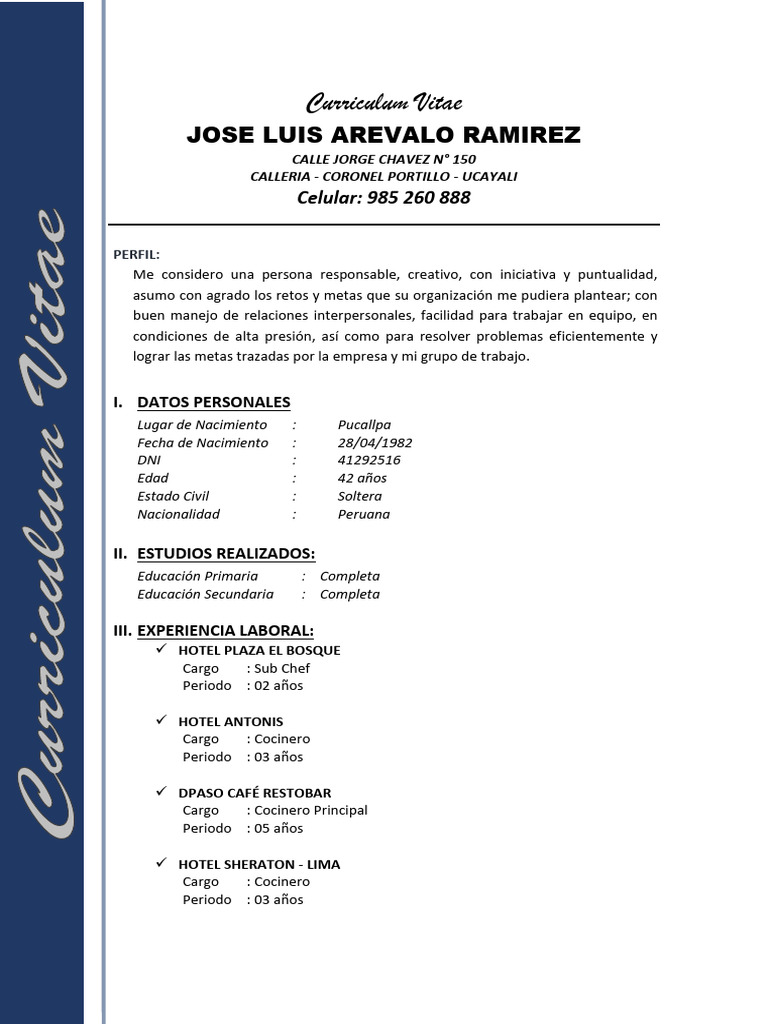 Curriculum Vitae Jose Luis Arevalo Ramirez | PDF