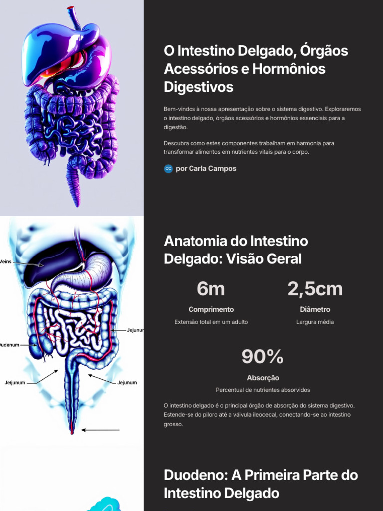 Intestino Delgado e Órgãos Digestivos | PDF | Intestino delgado | Trato ...