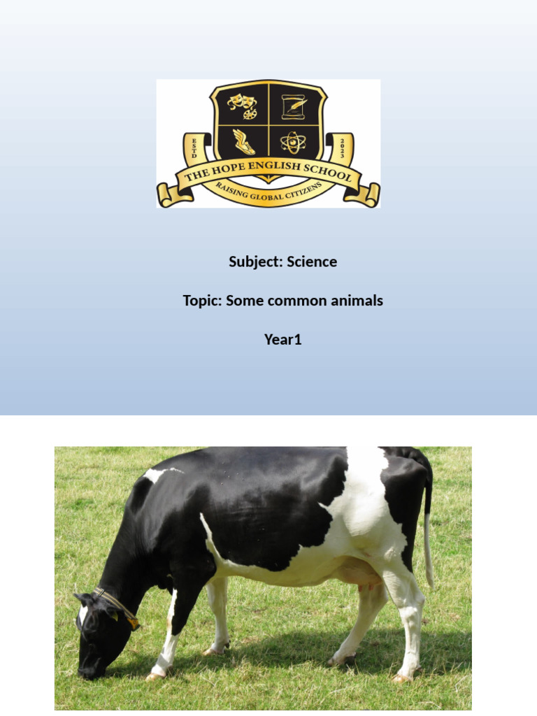 Some Common Animals | PDF | Farms | Livestock