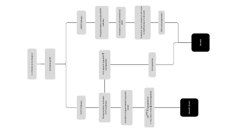 Decision Tree Team Whiteboard in Green Blue Yellow Simple Colorful ...