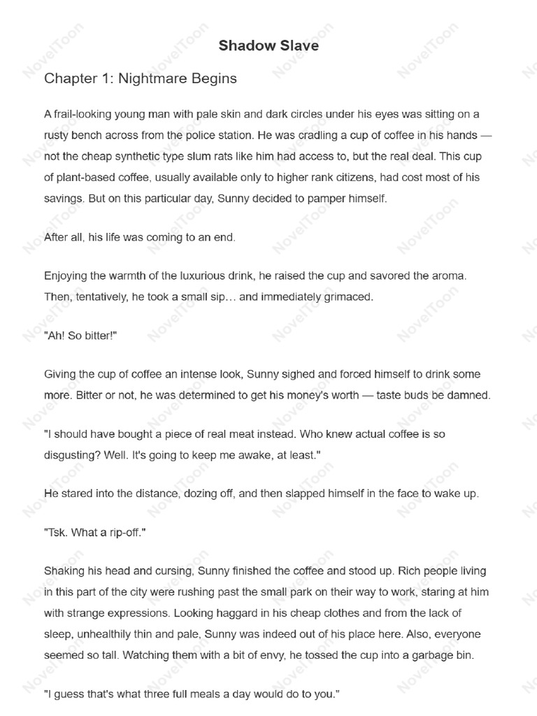 Shadow Slave | PDF