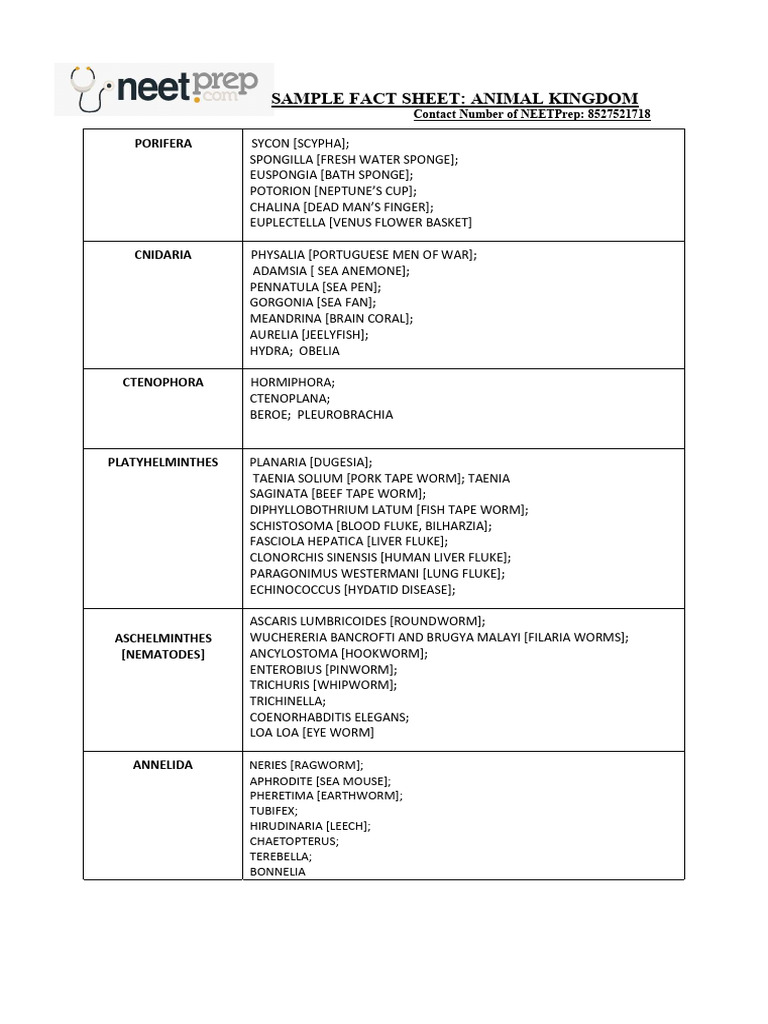 Sample Fact Sheet - Animal Kingdom | PDF | Zoology