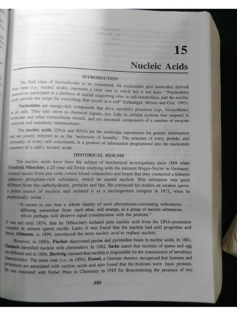Nucleic Acid | PDF