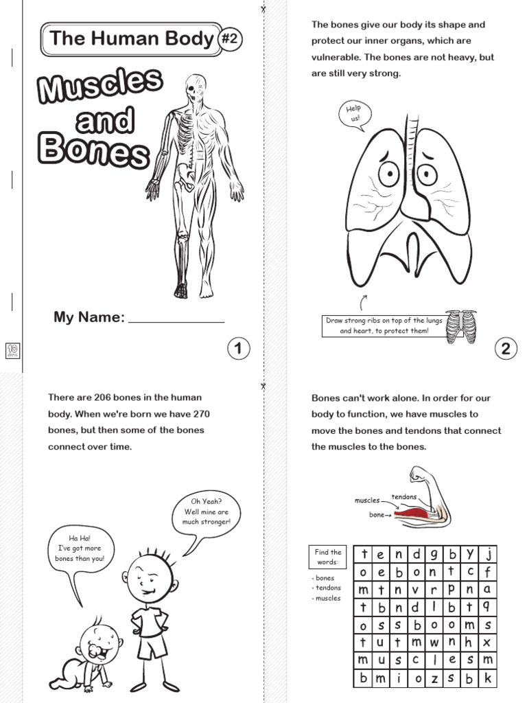 Understanding Human Bones and Muscles | PDF | Musculoskeletal System ...
