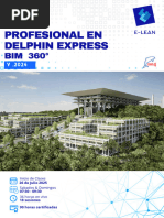 Guía Delphin Express | PDF | Presupuesto | Ventana (informática)