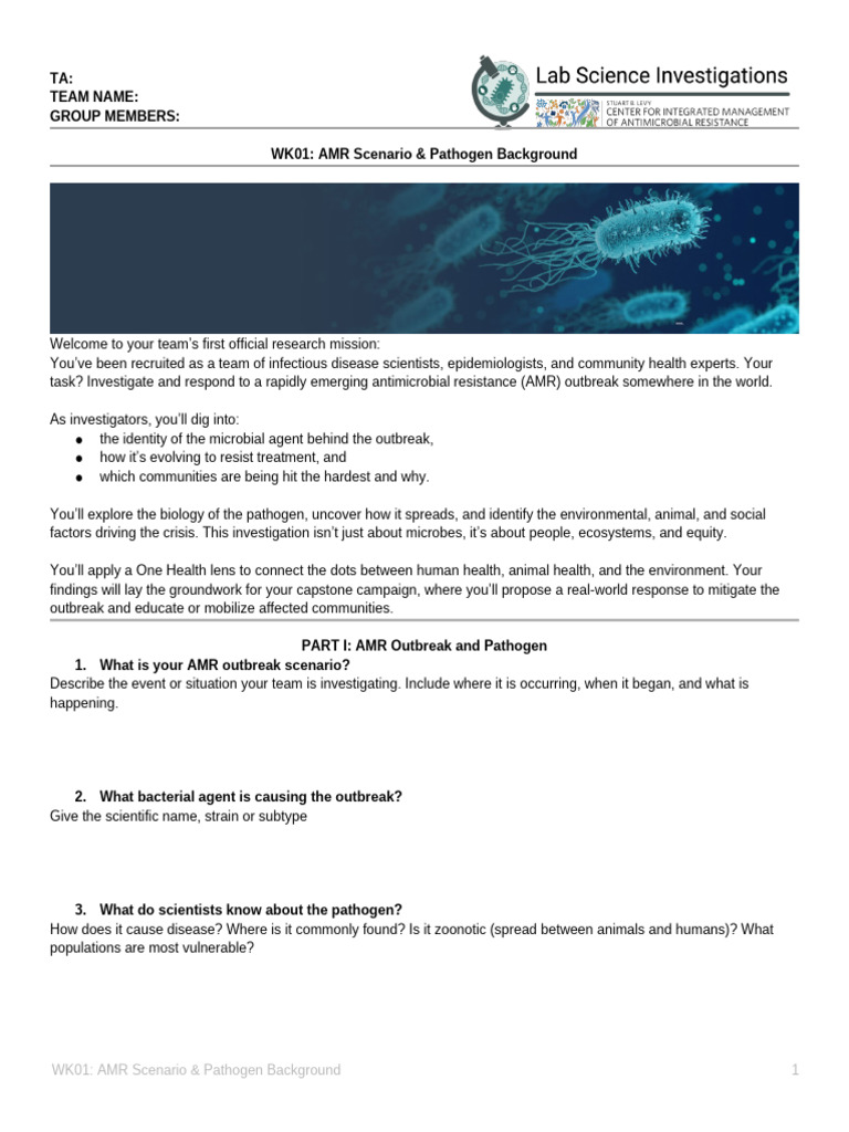 AMR Outbreak Investigation Guide | PDF | Antimicrobial Resistance ...