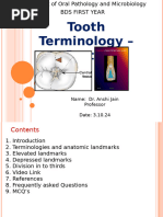 Classification of Dentin Types | PDF | Dentin | Tooth