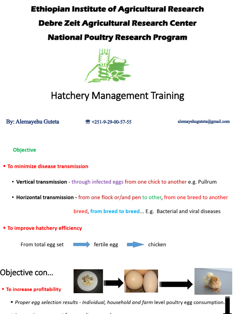 Hatchery Management Training Guide | PDF | Egg | Birds