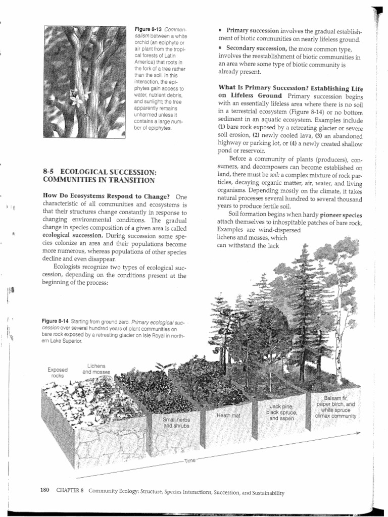 Succession Notes | PDF