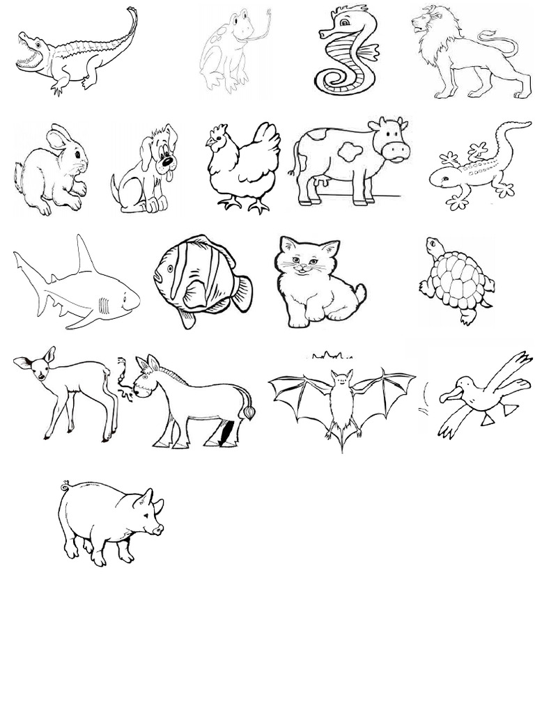 Clasificacion de Los Vertebrados | PDF