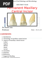Danger Triangle of the Face Explained | PDF
