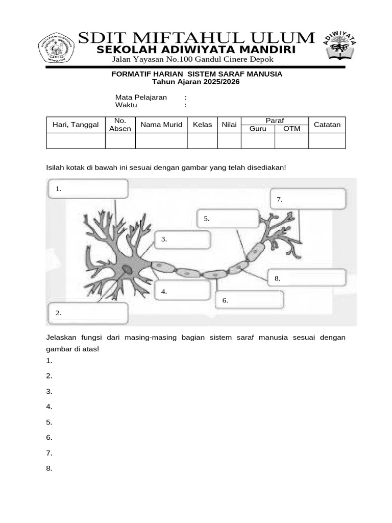 Formatif Sistem Saraf Manusia | PDF