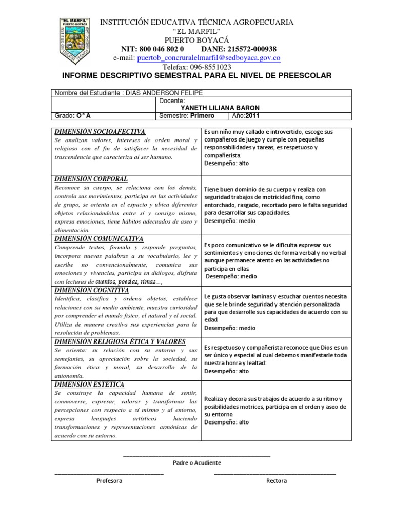 Informes de Preescolar 1-07-2011.Liliana