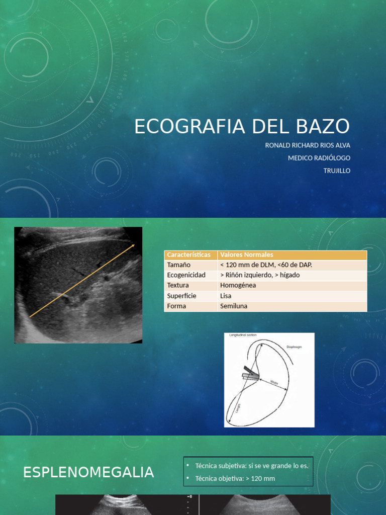 Ecografía del Bazo y Páncreas: Guía Completa | PDF | Bazo | Medicina ...