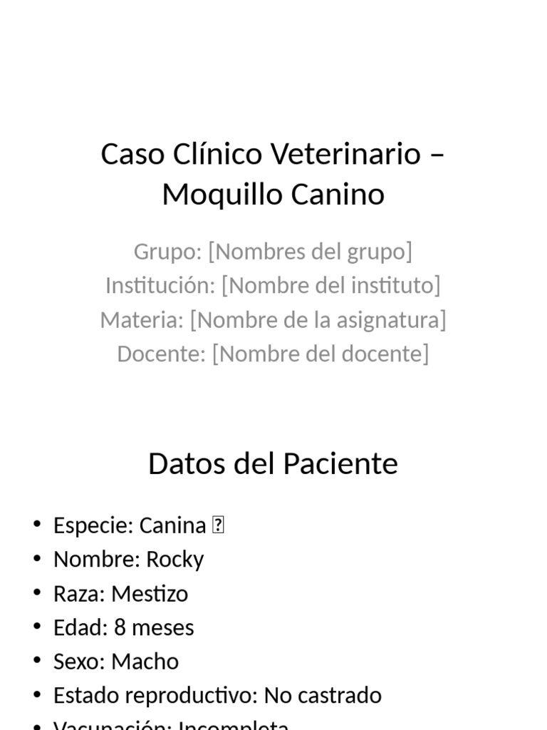 Diagnóstico y Tratamiento del Moquillo Canino | PDF