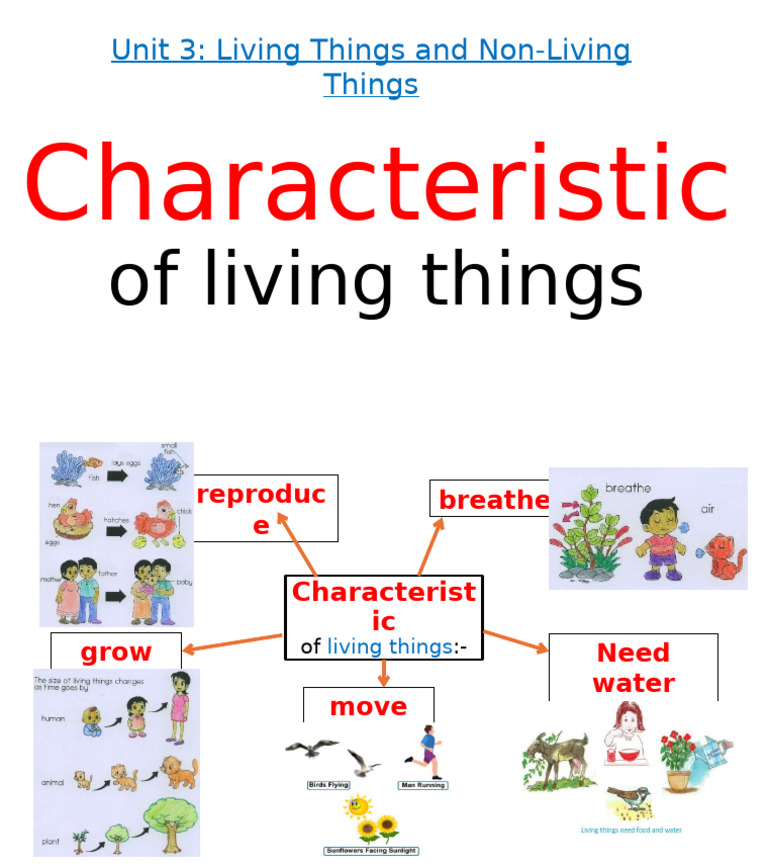Characteristic Science Year 1 | PDF