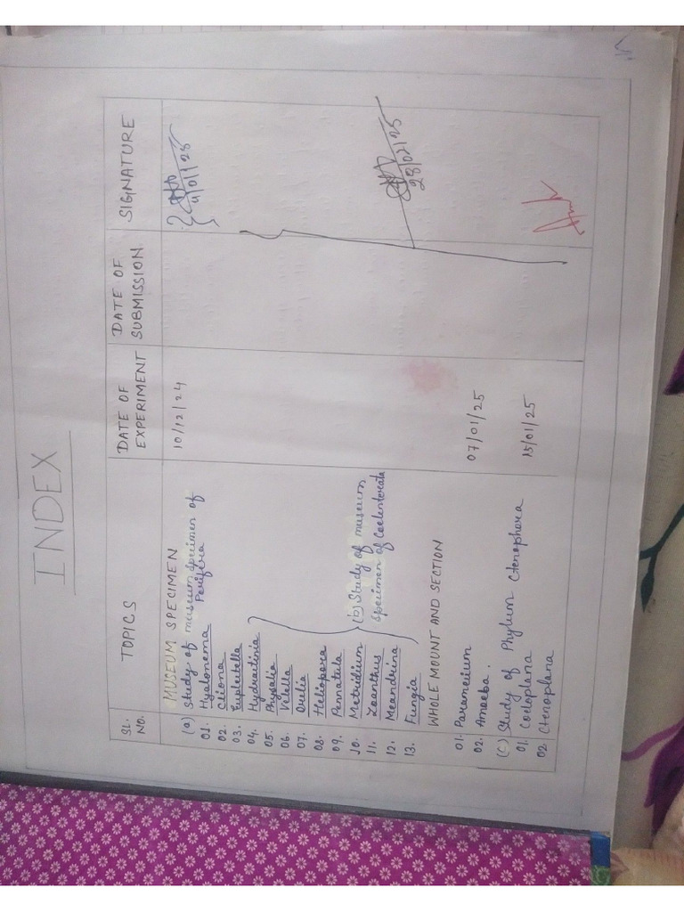 Zoology Practical | PDF