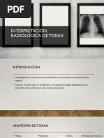 Proyecciones PA Y AP | PDF | Tórax (anatomía humana) | Anatomía