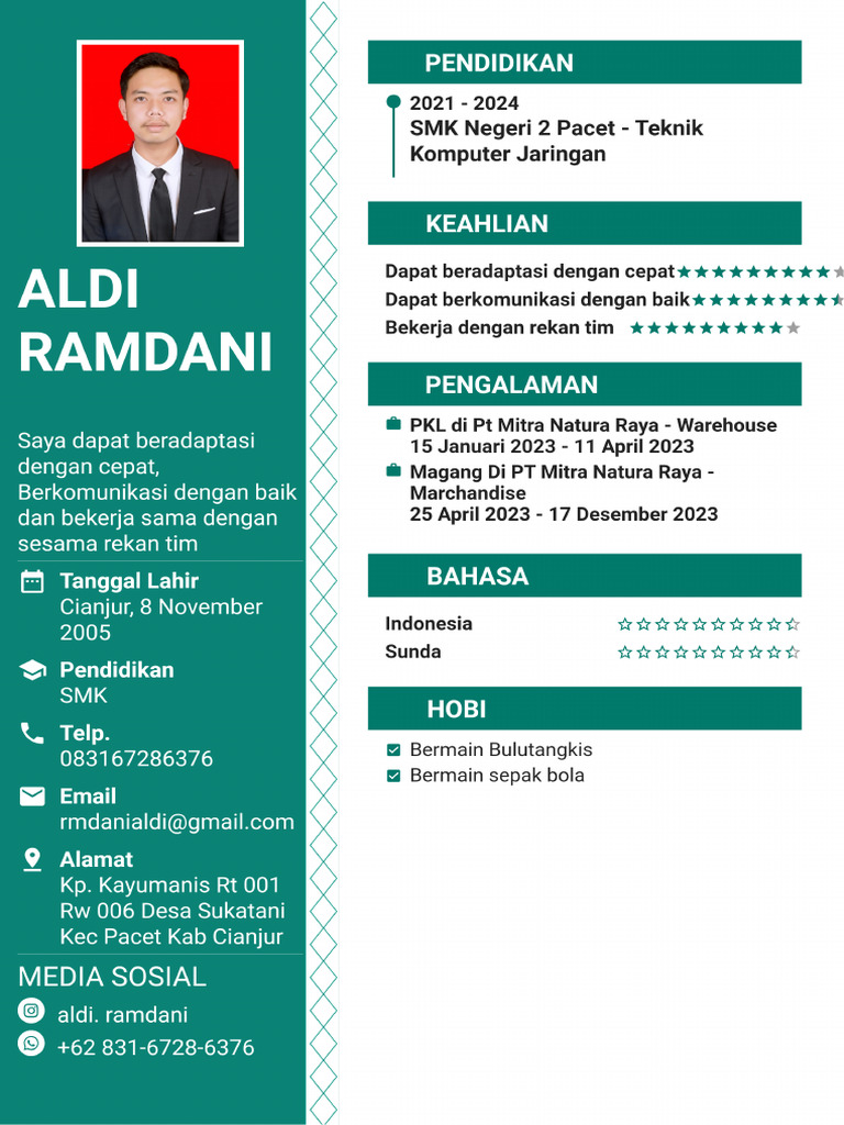 CV Aldii Ramdanii | PDF