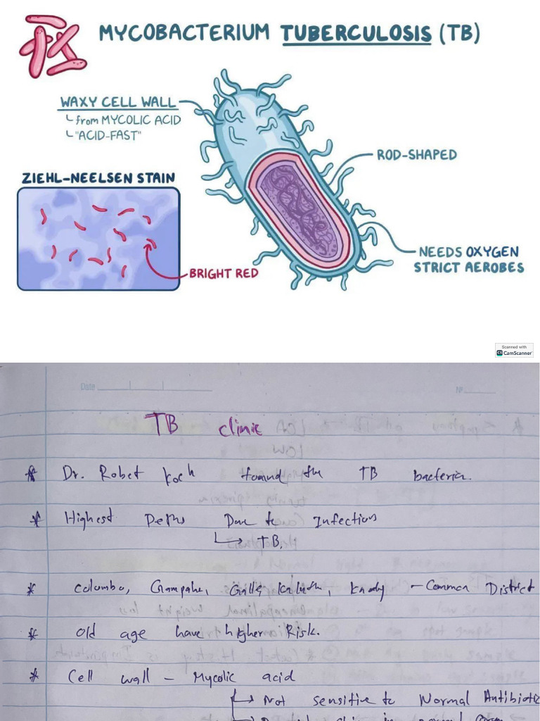 TB Clinic-1 | PDF