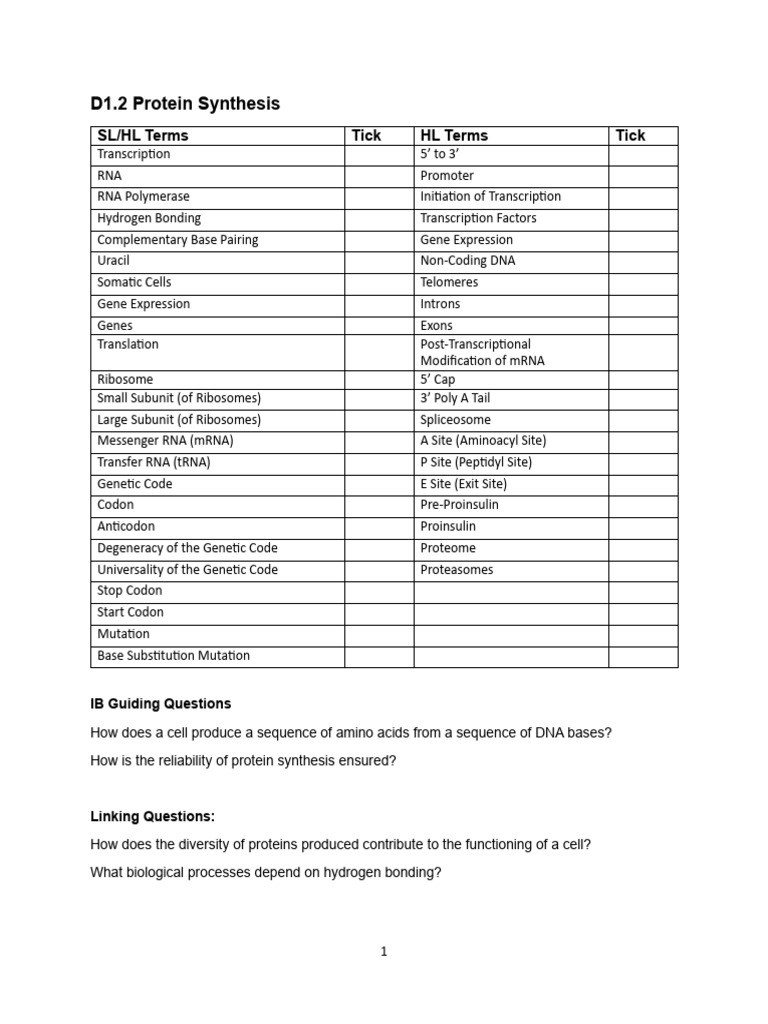 D1.2 Protein Synthesis | PDF | Translation (Biology) | Rna