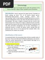 Overview of Phytophagous Insects | PDF | Foods | Herbivore