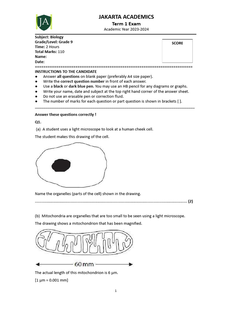 Term 1 Exam Bio 23 24 Grade 9 DONE | PDF | Cell (Biology) | Area